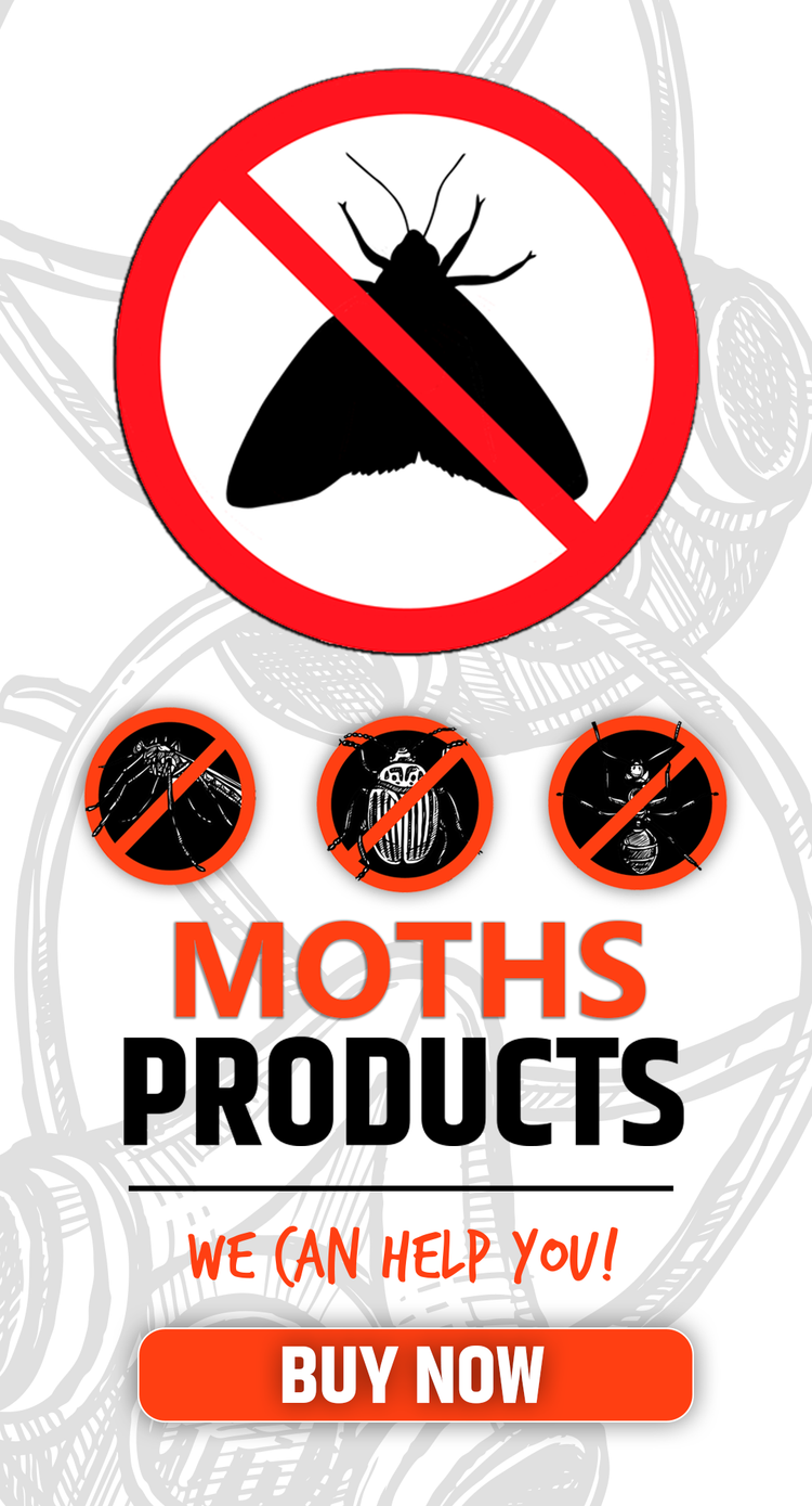 MothControl – Moth Control